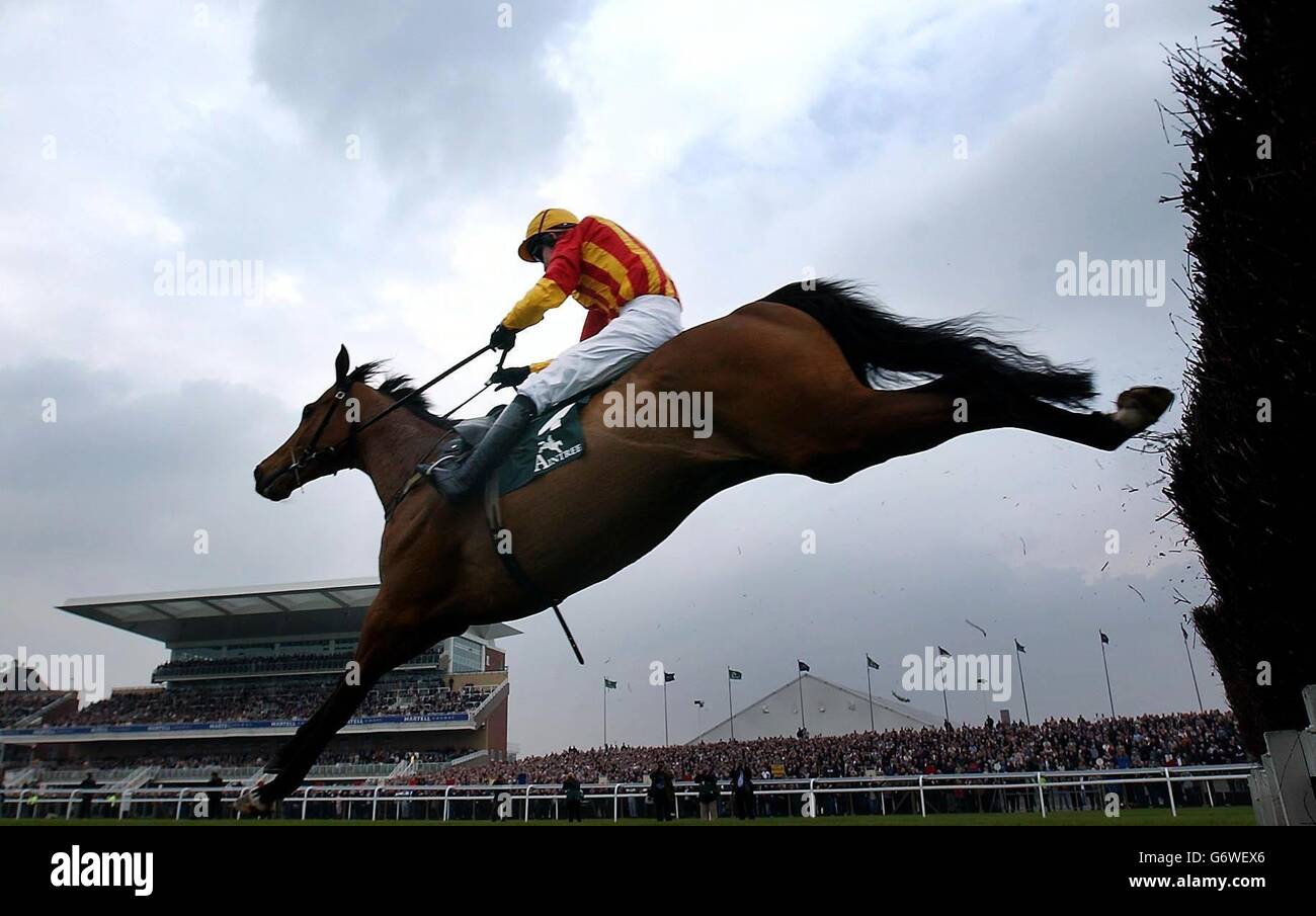 Martell cognac cup chase hi-res stock photography and images - Alamy