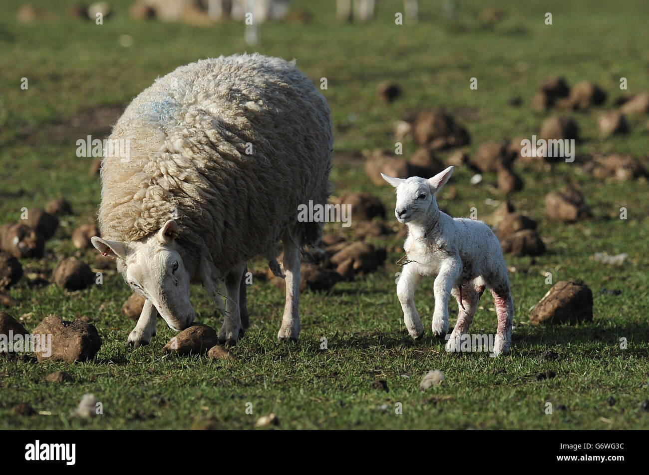 Barmby moor hi-res stock photography and images - Alamy
