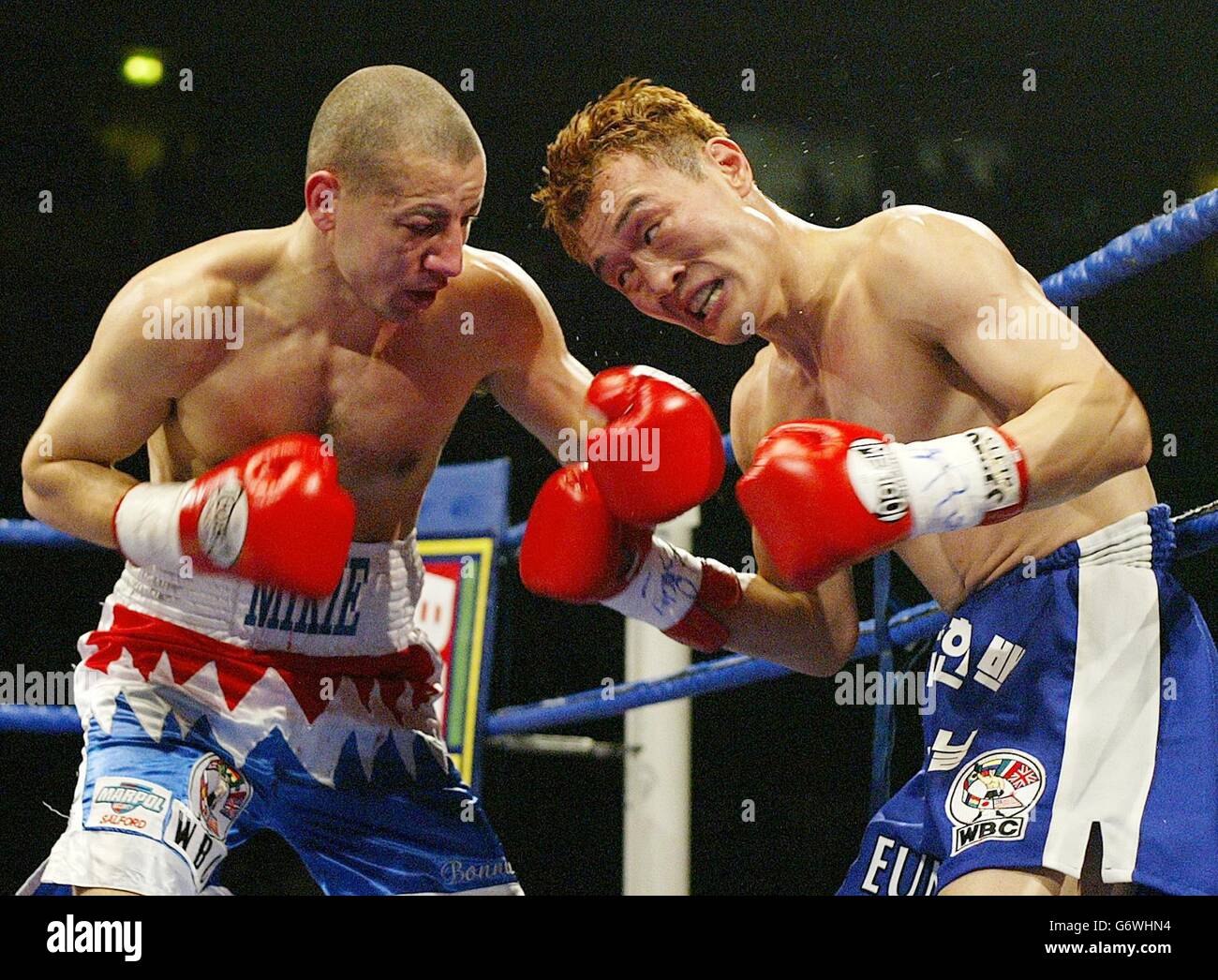 WBC Featherweight Championship of the Worlds Stock Photo - Alamy