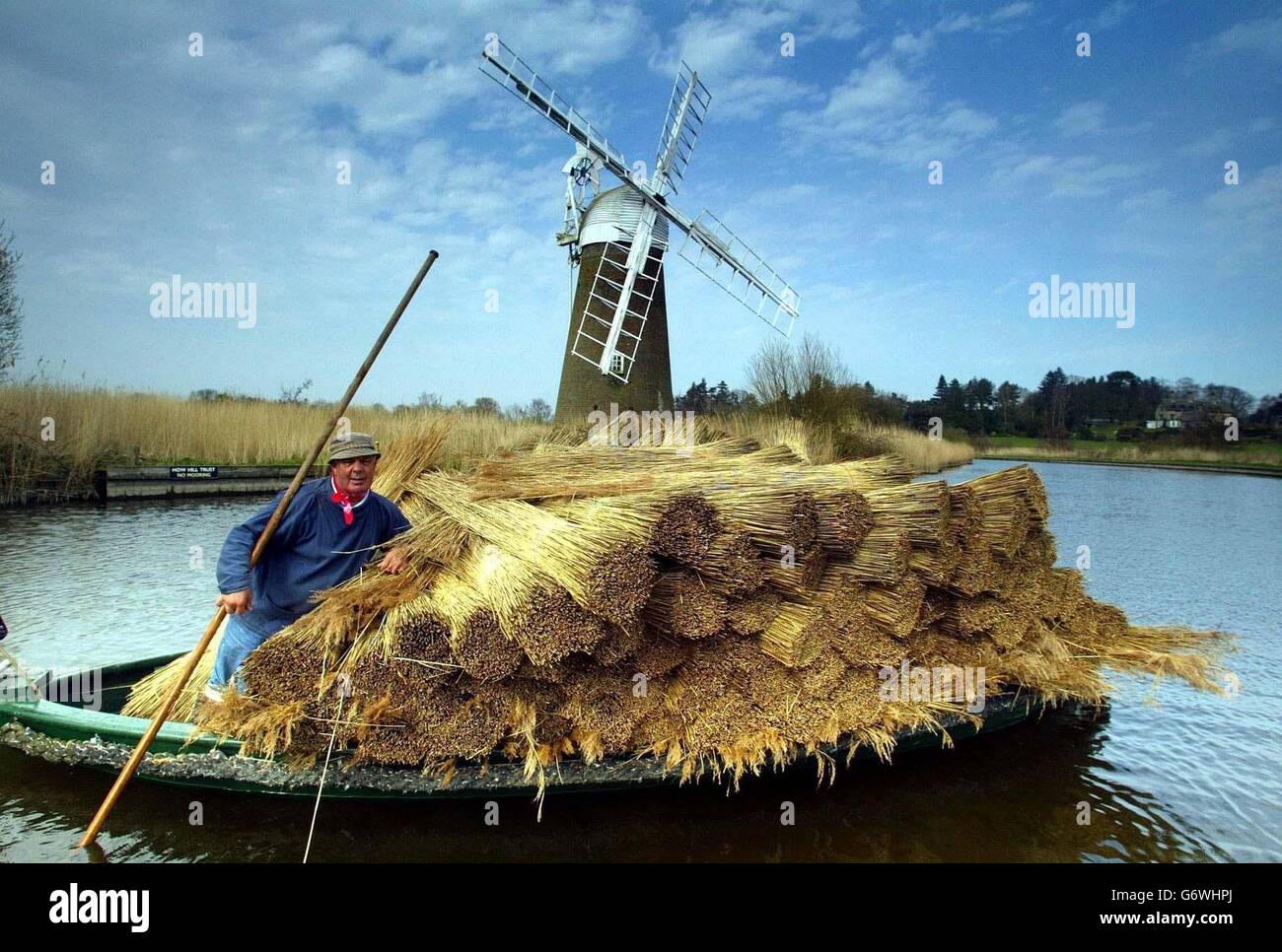 Norfolk reed cutters Stock Photo - Alamy
