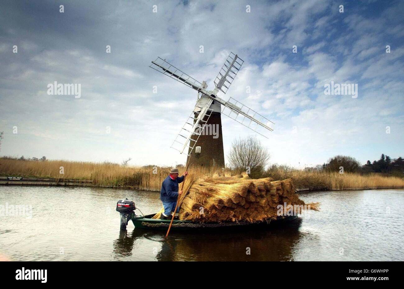 One Of The Few Remaining Norfolk Reed Cutters High Resolution Stock ...