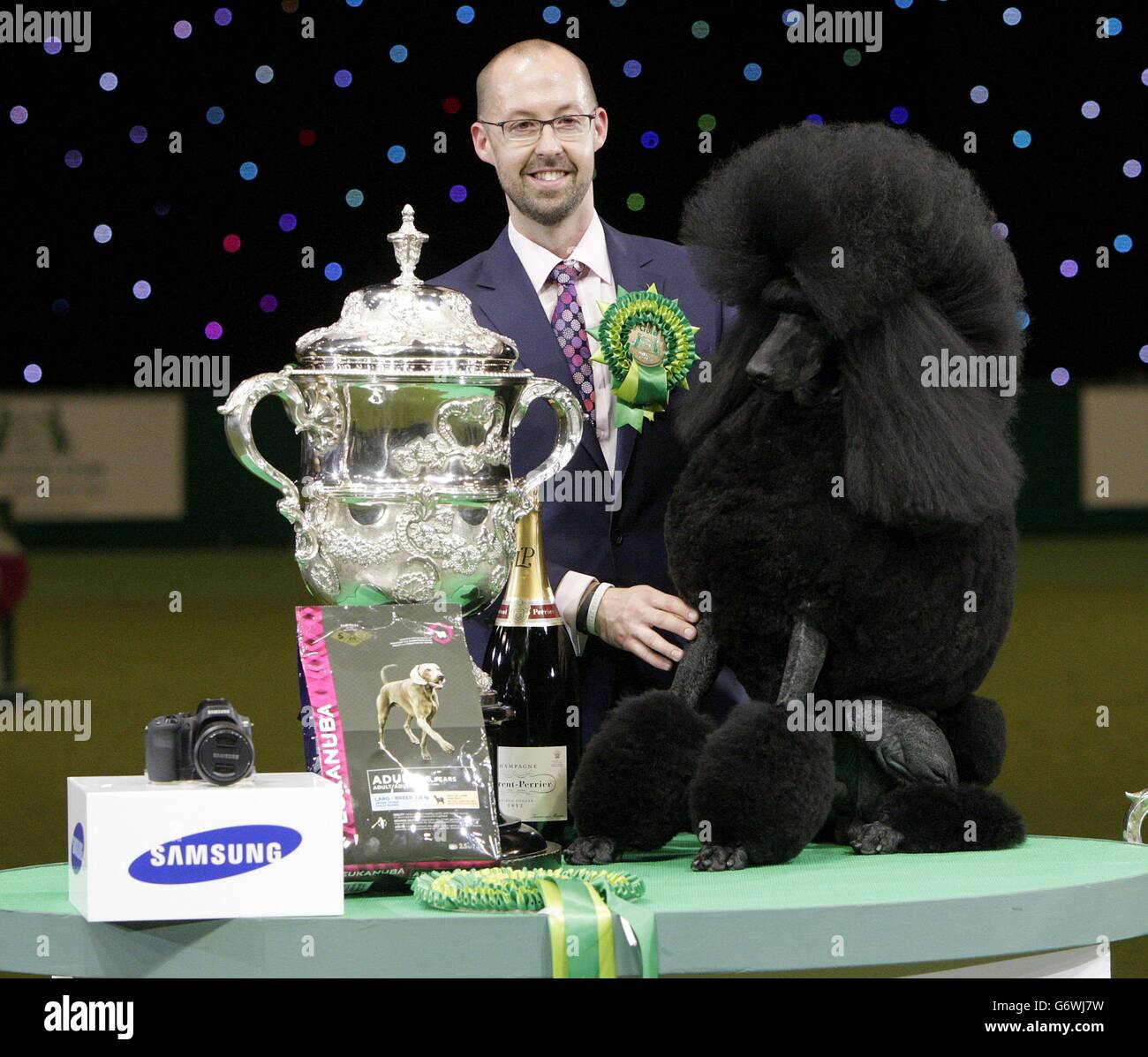 Two-year-old standard poodle Ricky with his handler Jason Lynn, after ...