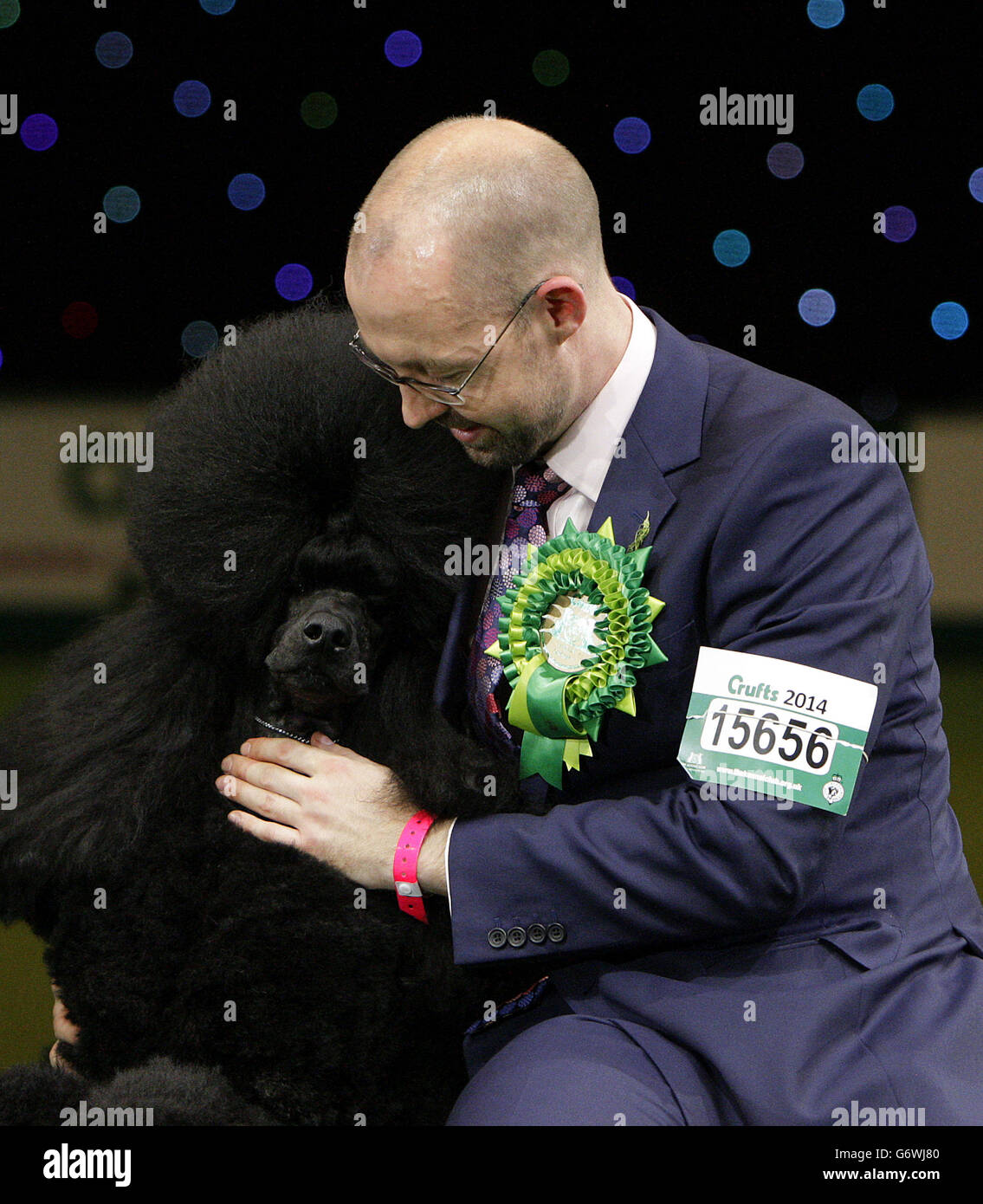 Two-year-old standard poodle Ricky with his handler Jason Lynn, after ...