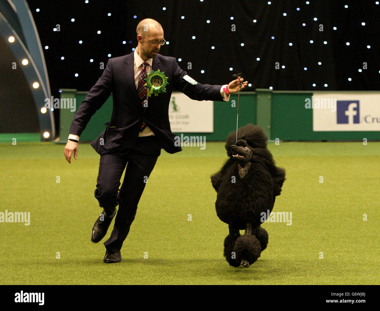Two-year-old standard poodle Ricky with his handler Jason Lynn during ...