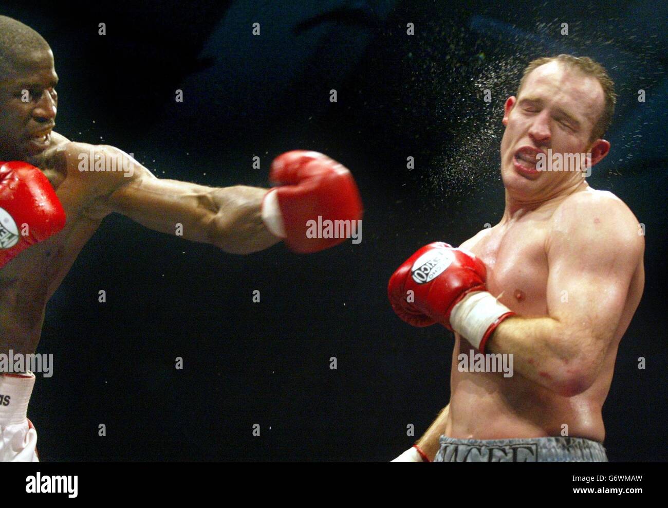 Sport boxing punching hitting impact sweat brian magee jerry elliott hi ...