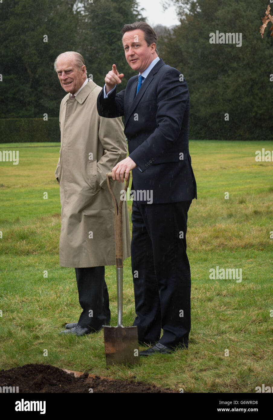 The Duke of Edinburgh plants an oak tree at Chequers today where he and ...
