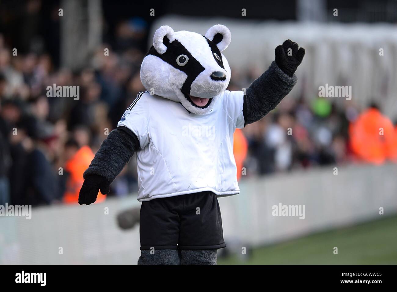 Fulhams billy the badger hi-res stock photography and images - Alamy