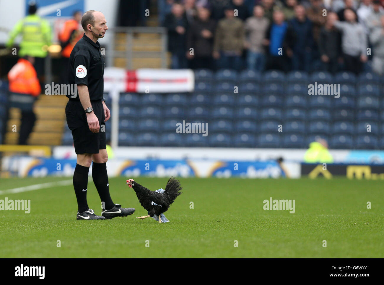 Mike chicken hi-res stock photography and images - Alamy