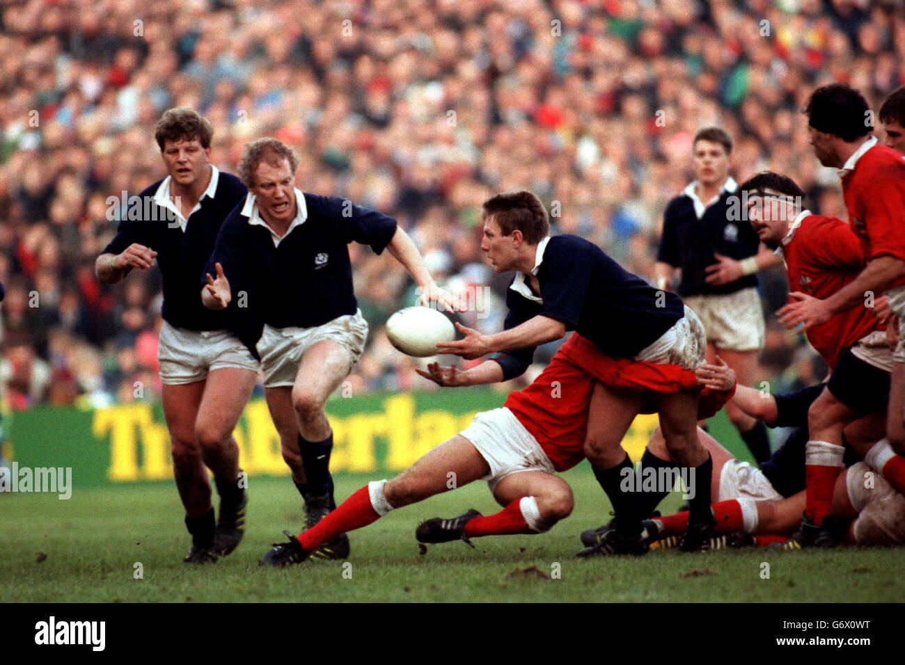 Derek white and rugby hi-res stock photography and images - Alamy