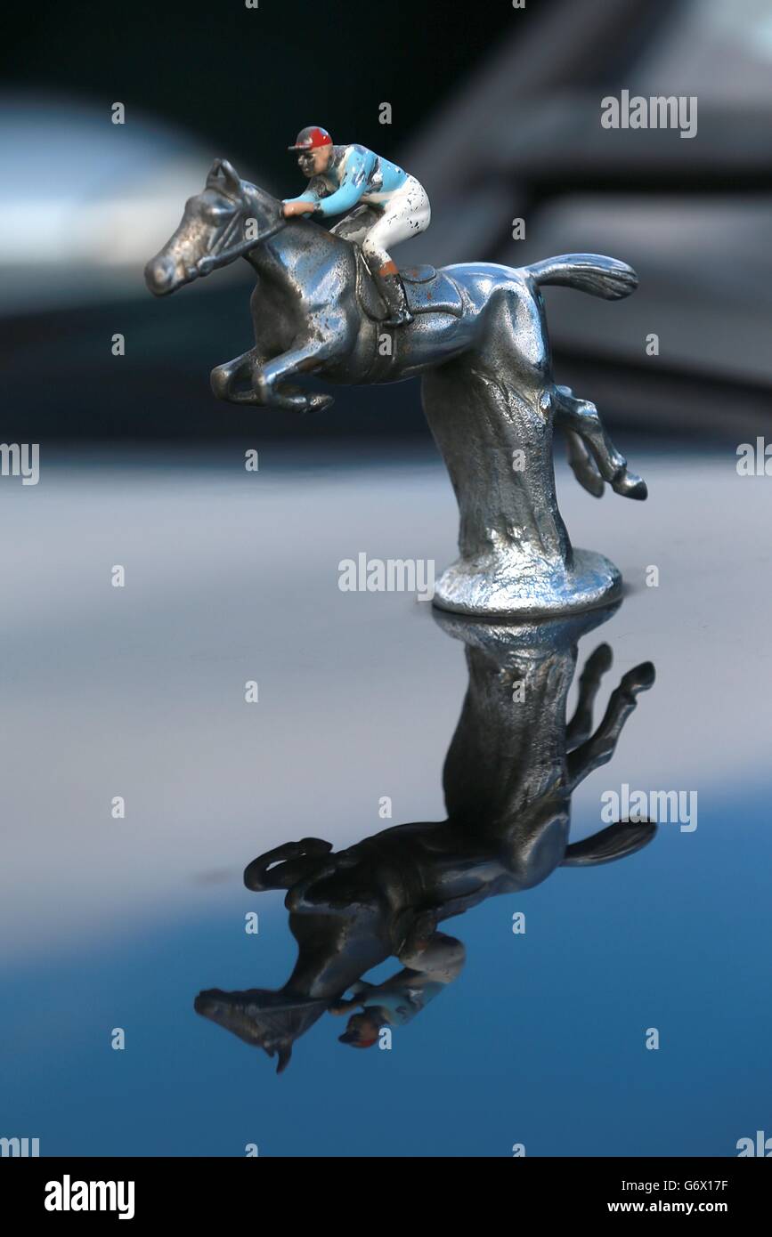 Cheltenham festival car park hi-res stock photography and images - Alamy