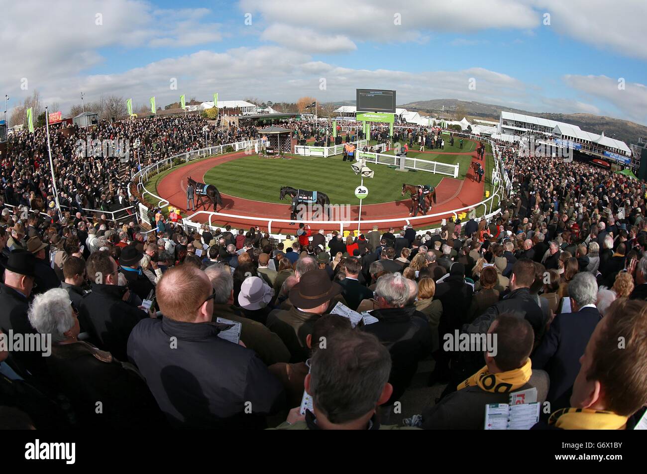 Packed crowds winners enclosure on champion day hi-res stock ...