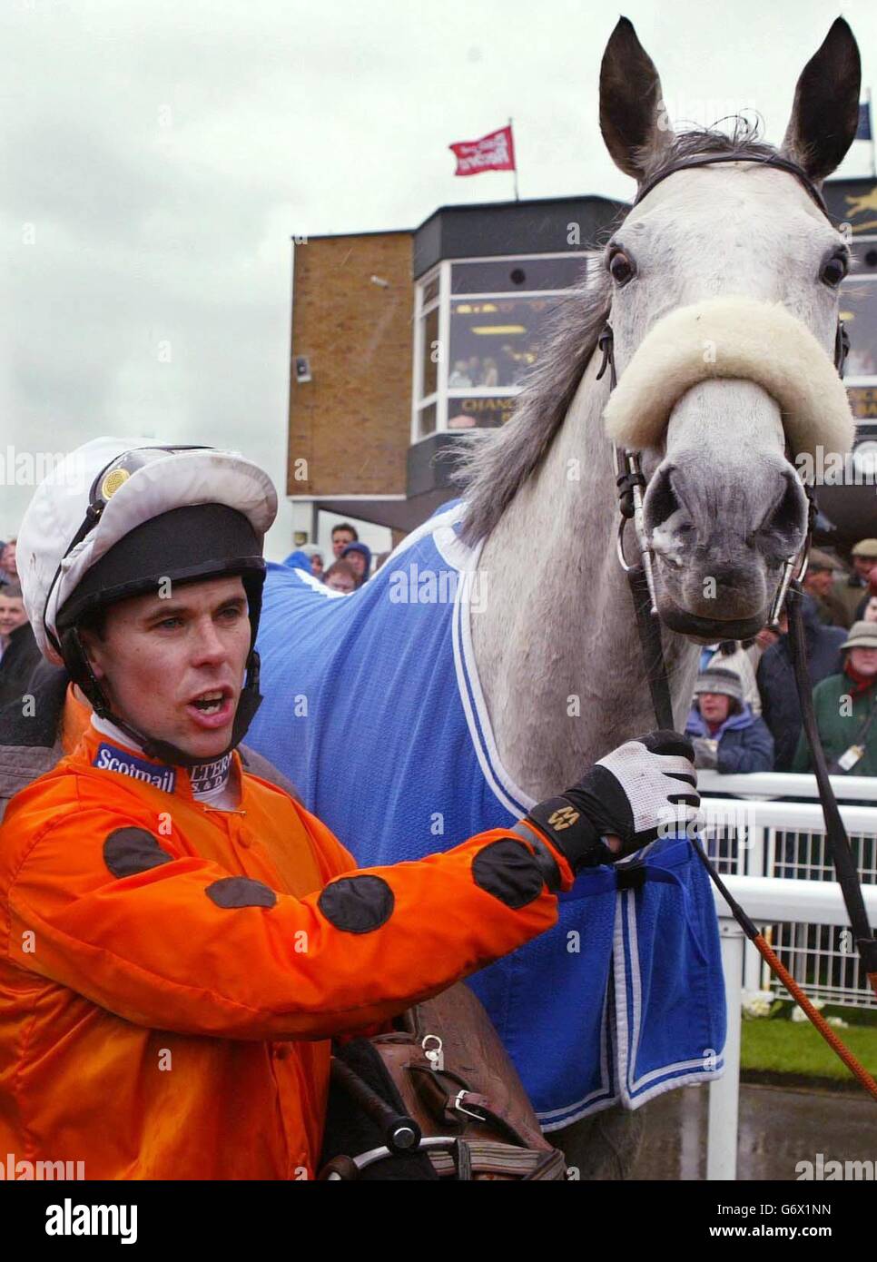 GRAHAM LEE WITH GREY ABBEY Stock Photo - Alamy