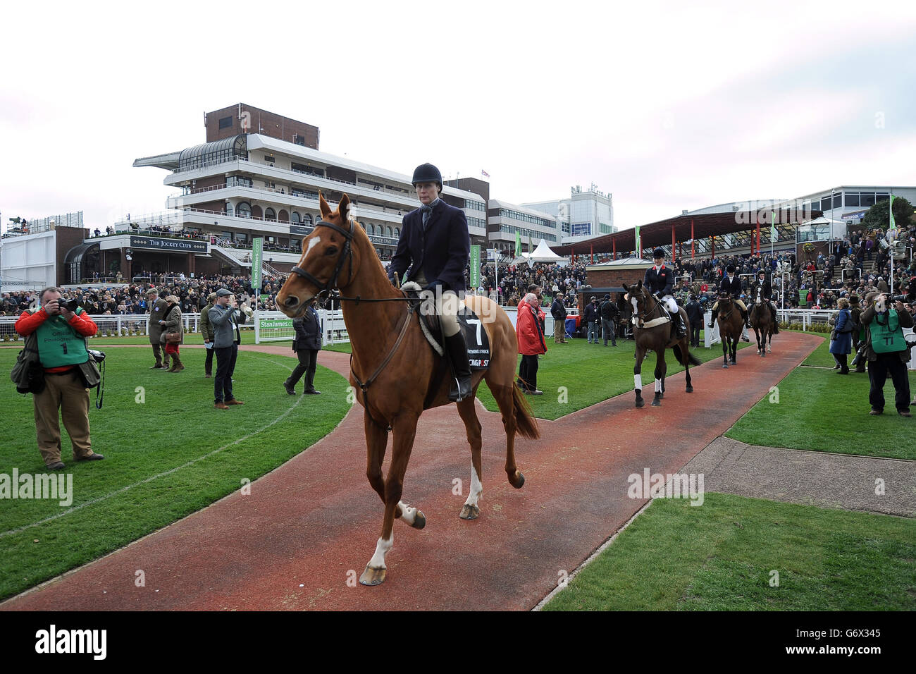 Horses are paraded as part of the ROR Parade in the Paddock Stock Photo ...