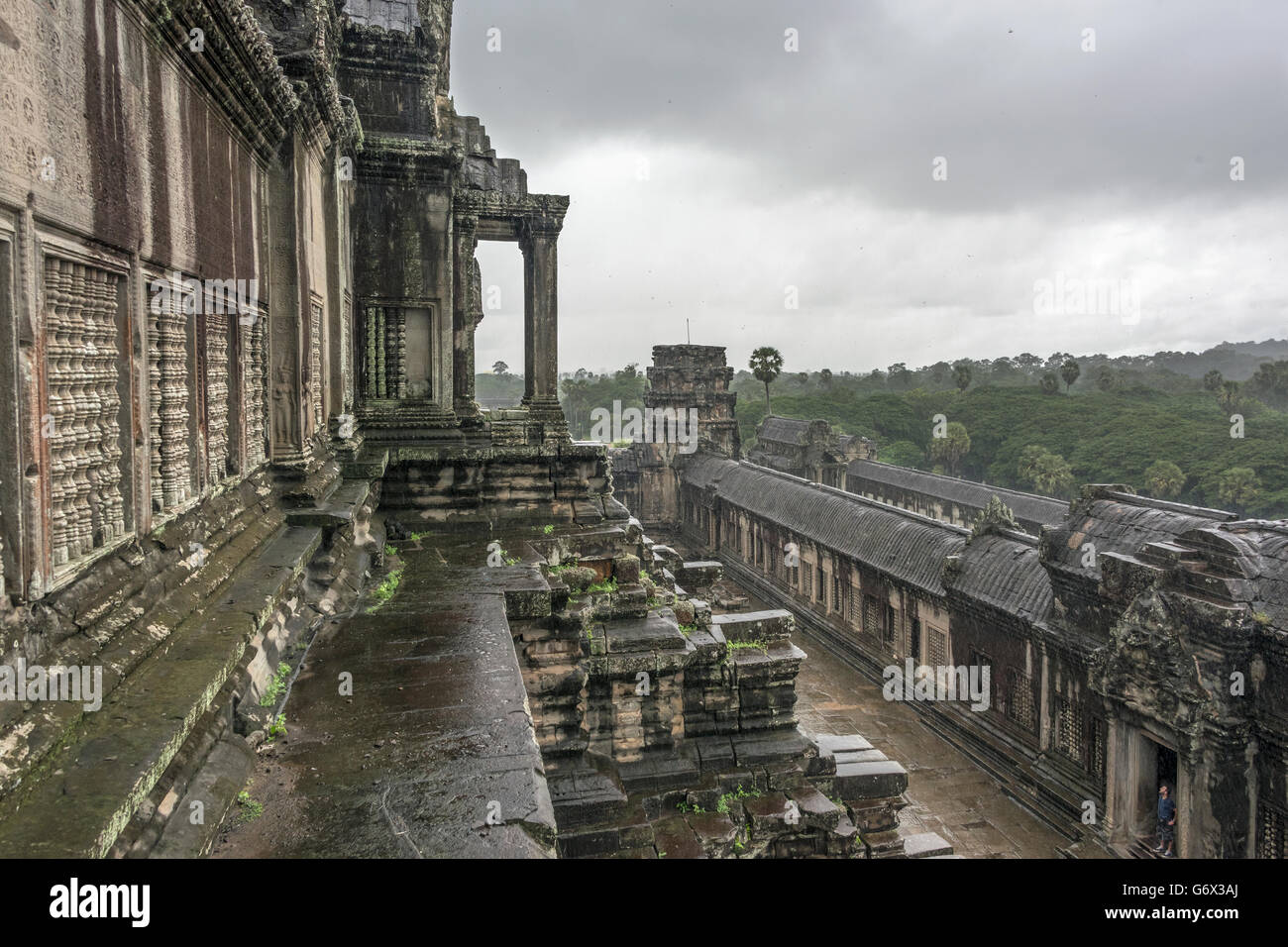 Center temple, inner courtyard in the rain, birds and insects in the ...