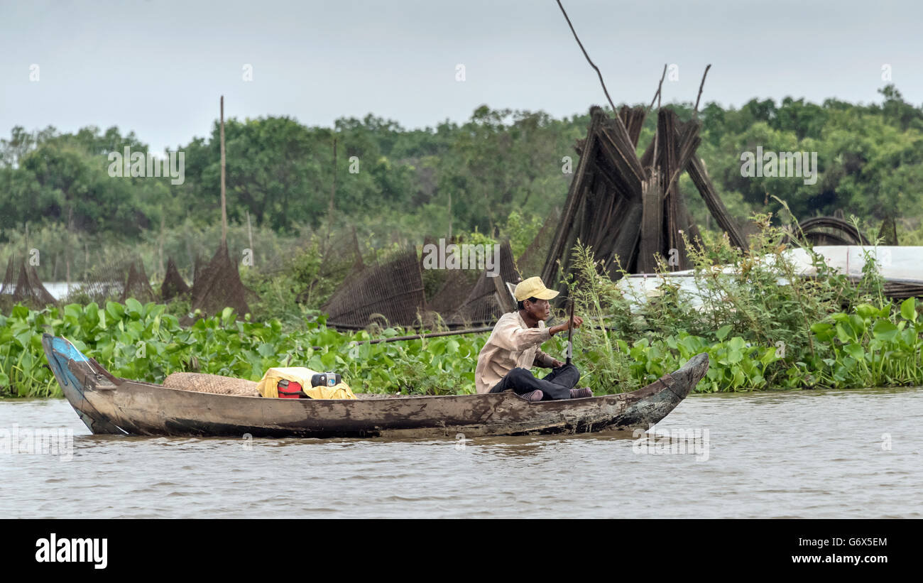 Man in dugout camoe on Tonle Sap during monsoon season, fish traps in ...