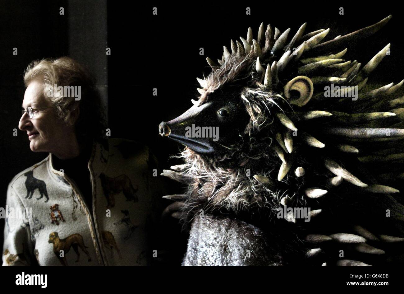 ANIMALS Duchess of Hamilton Hedgehog Stock Photo - Alamy