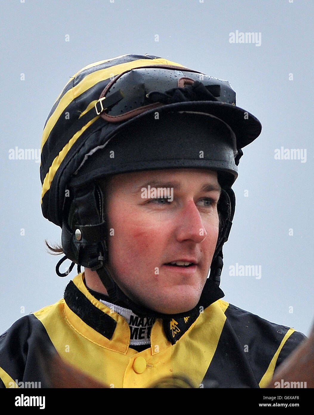 Jockey tom queally at southwell racecourse hi-res stock photography and ...