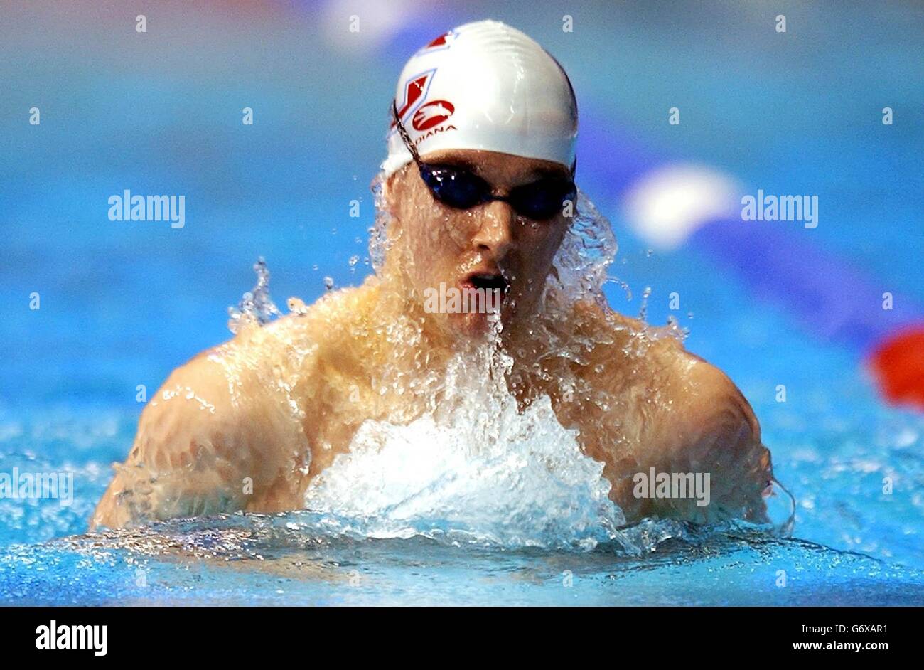 British swimming olympic trials ponds forge international sports centre ...