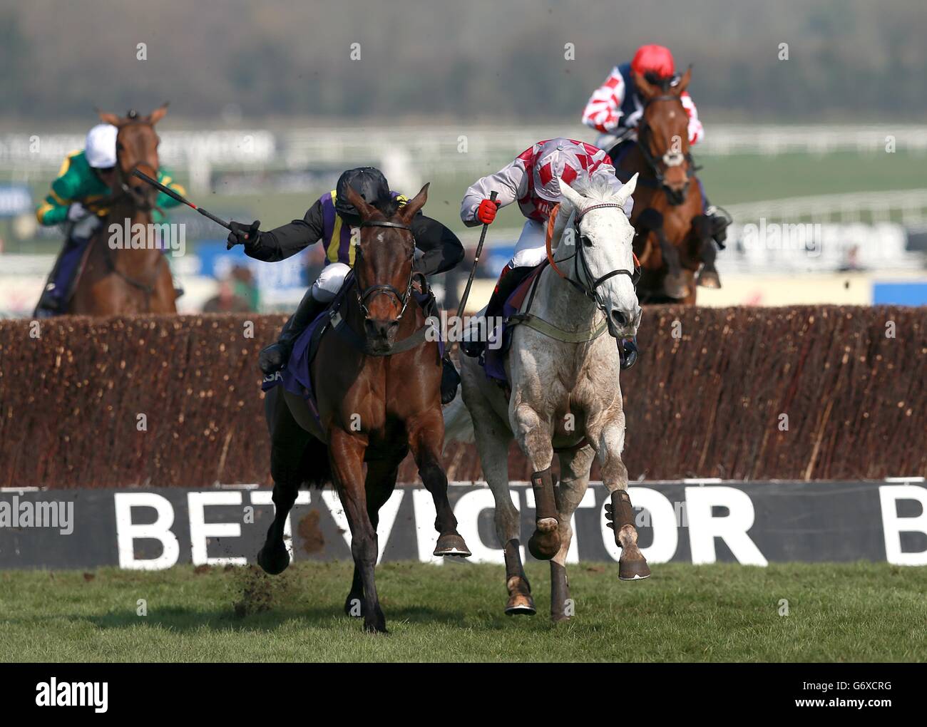 Cheltenham 2014 centre hi-res stock photography and images - Alamy