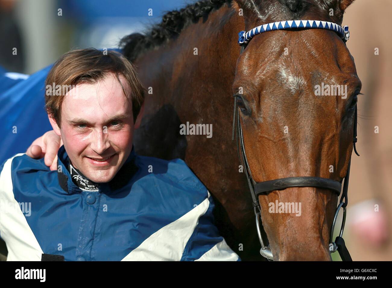 Celebration head shot headshot portrait winners enclosure hi-res stock ...