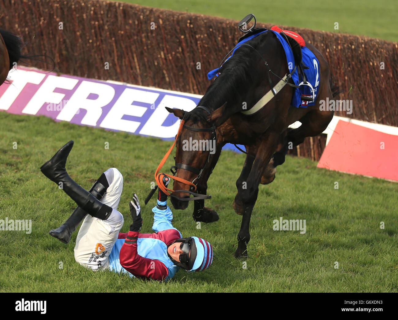 Jonathan England is thrown from his horse, Cloudy Too, at the final ...