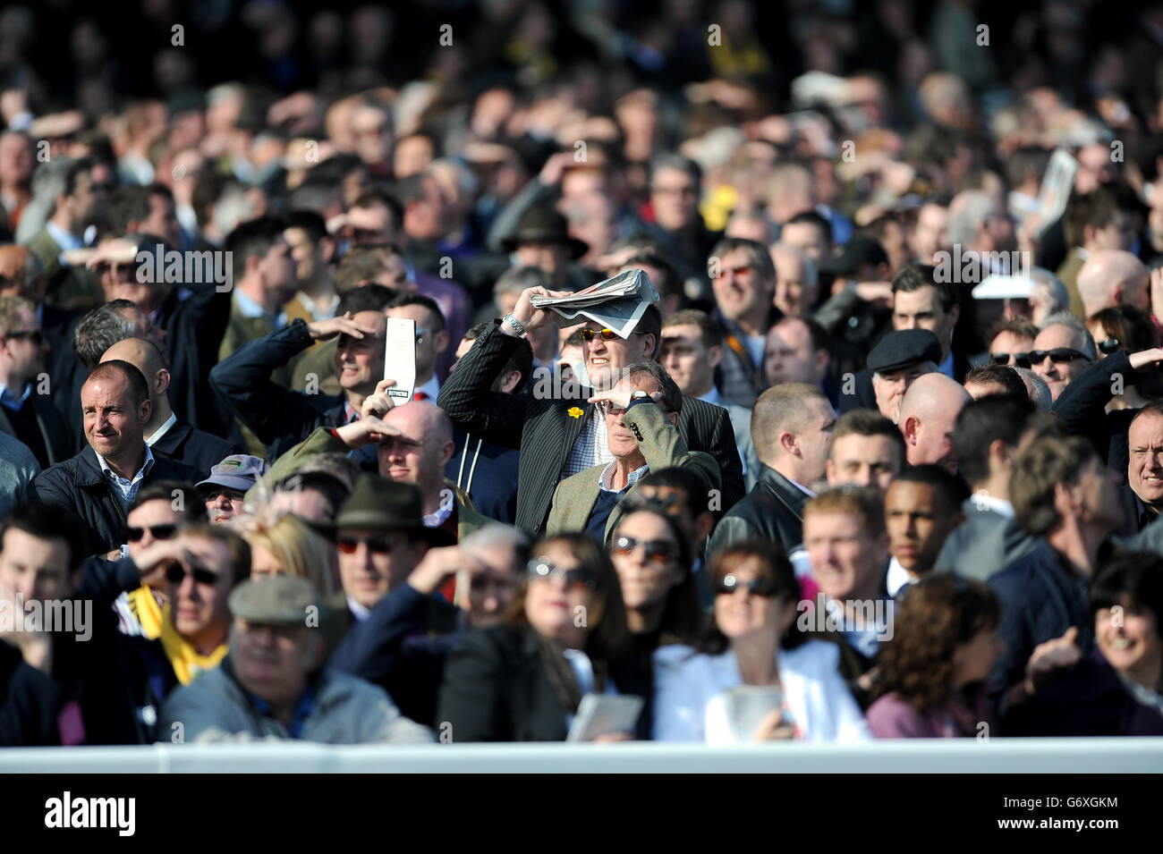 Horseracing races horses general view gv packed crowds hi-res stock ...