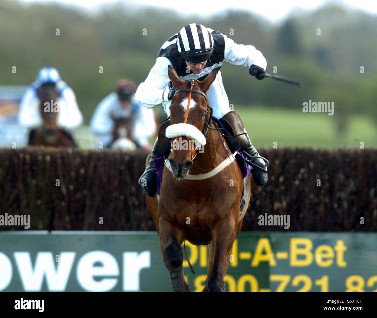 Adrian melia sport horseracing action hi-res stock photography and ...
