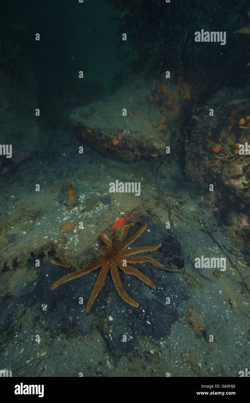 Silty bottom hi-res stock photography and images - Alamy