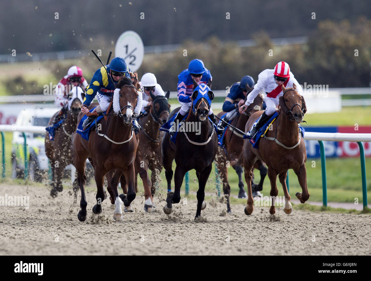 Stepper Point (left) ridden by Martin Dwyer wins the bookmakers.co.uk ...