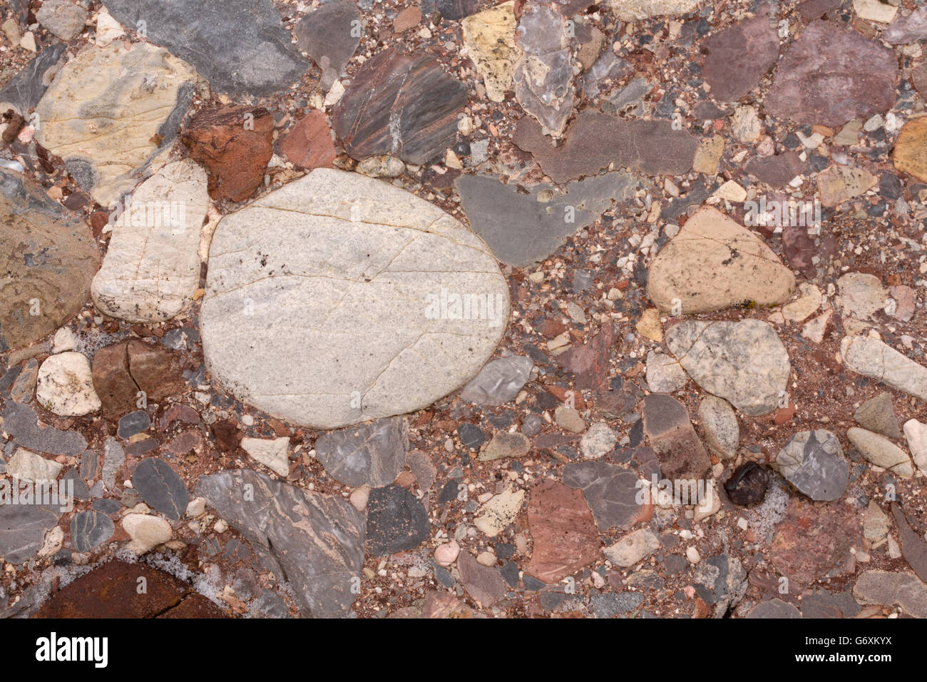 Conglomerate sedimentary rock sample hi-res stock photography and ...