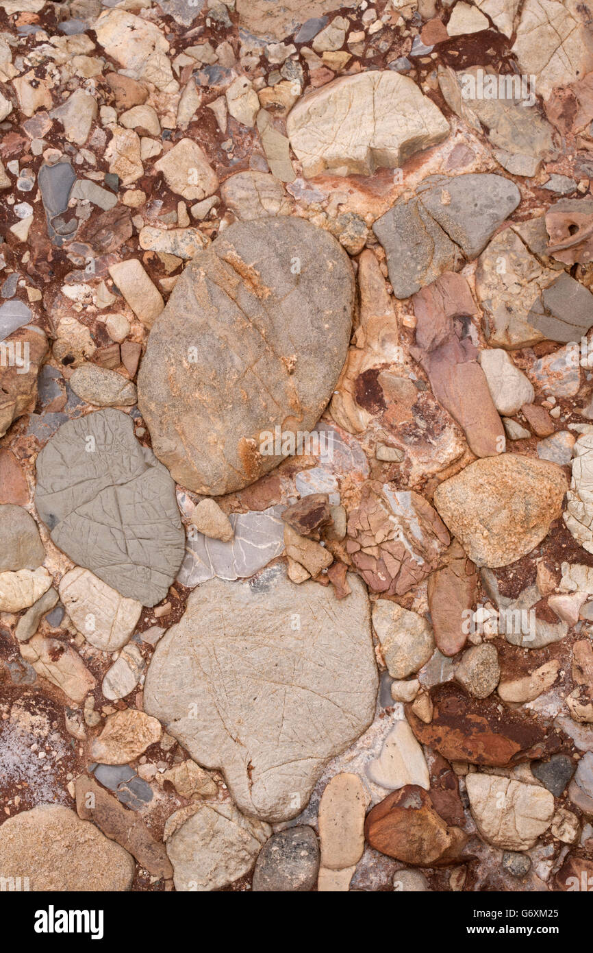Conglomerate Sedimentary Rock Stock Photos & Conglomerate Sedimentary ...