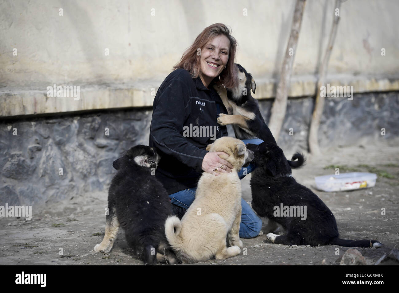 Afghanistan Nowzad Dogs charity Stock Photo - Alamy