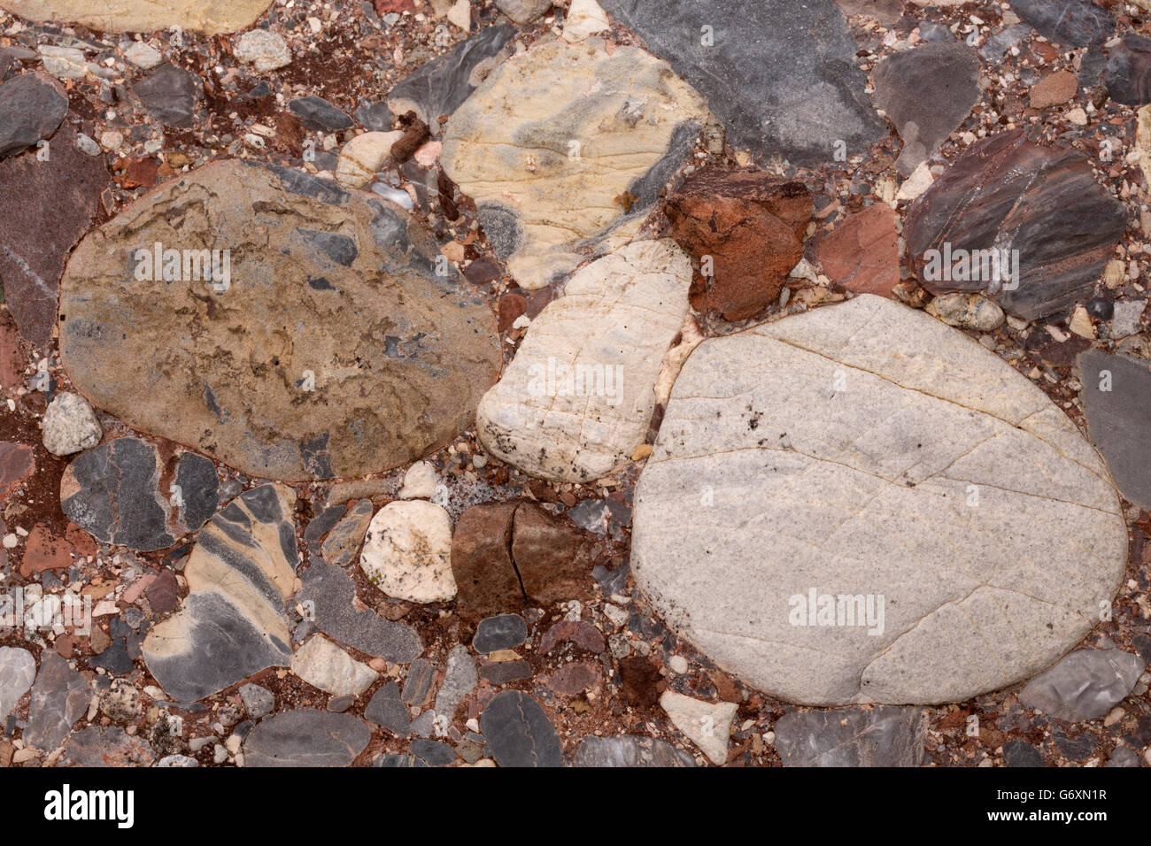 Leesburg limestone conglomerate Maryland, Virginia, Potomac marble ...