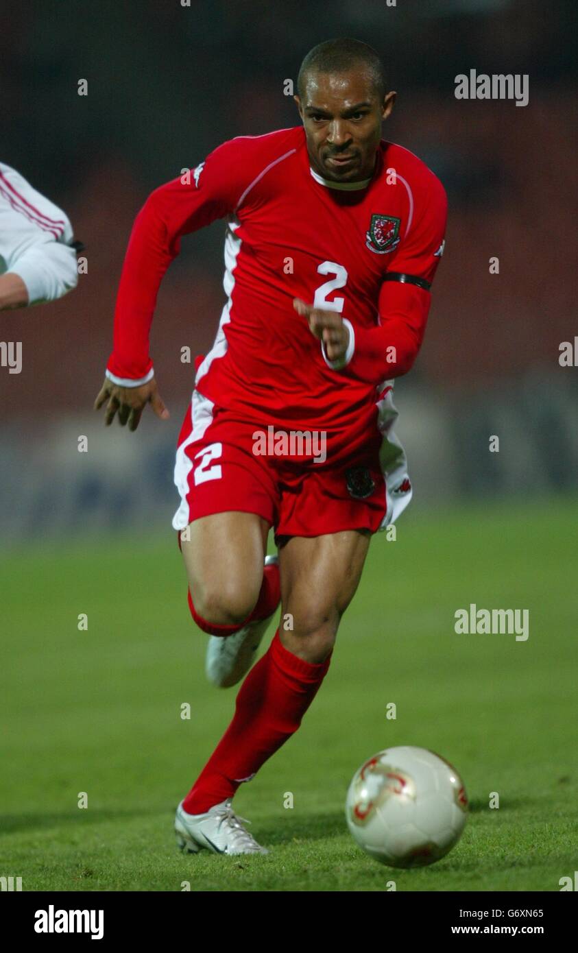 Danny Gabbidon of Wales during the friendly international at the ...