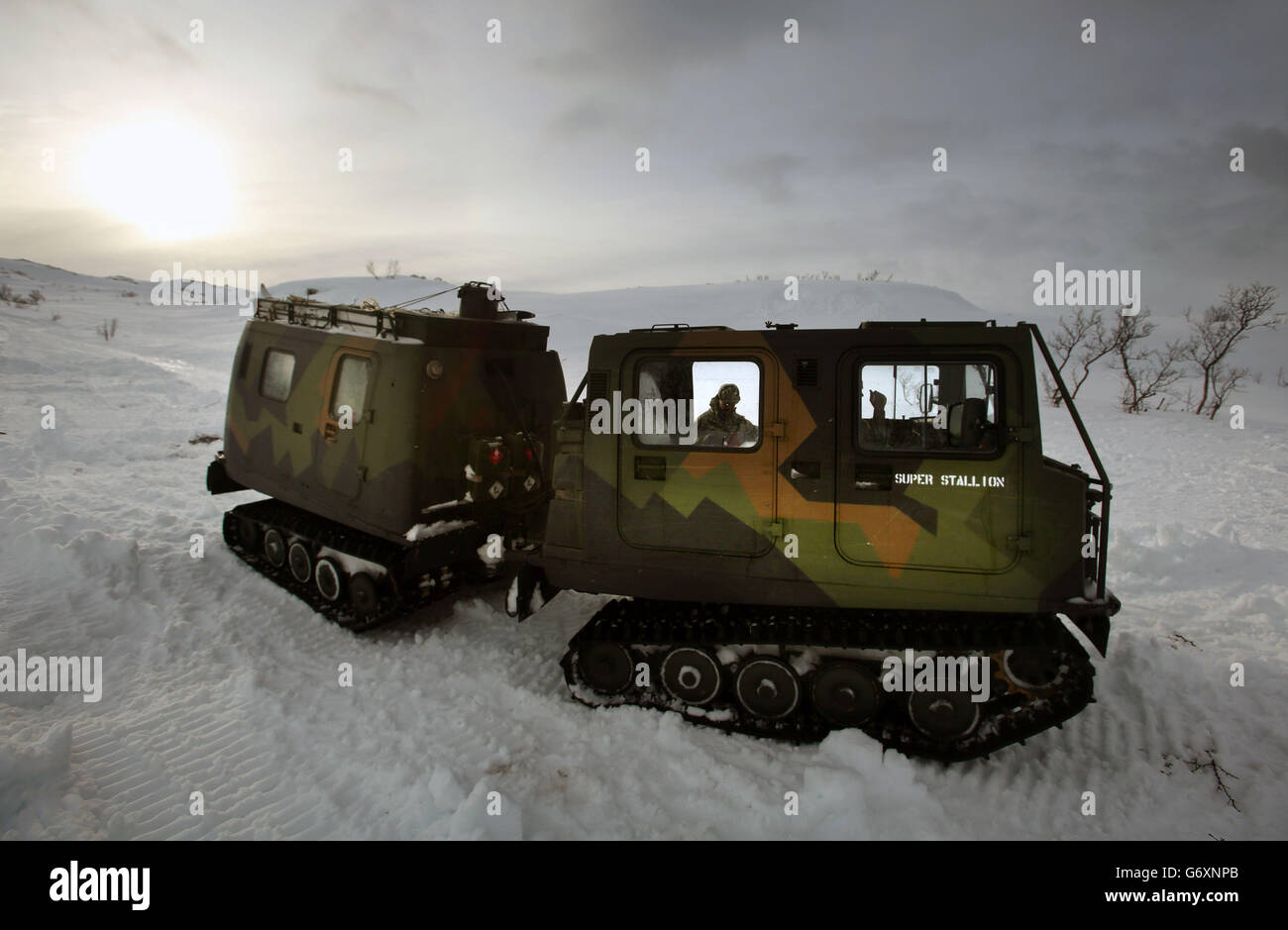 Marines arctic training Stock Photo - Alamy