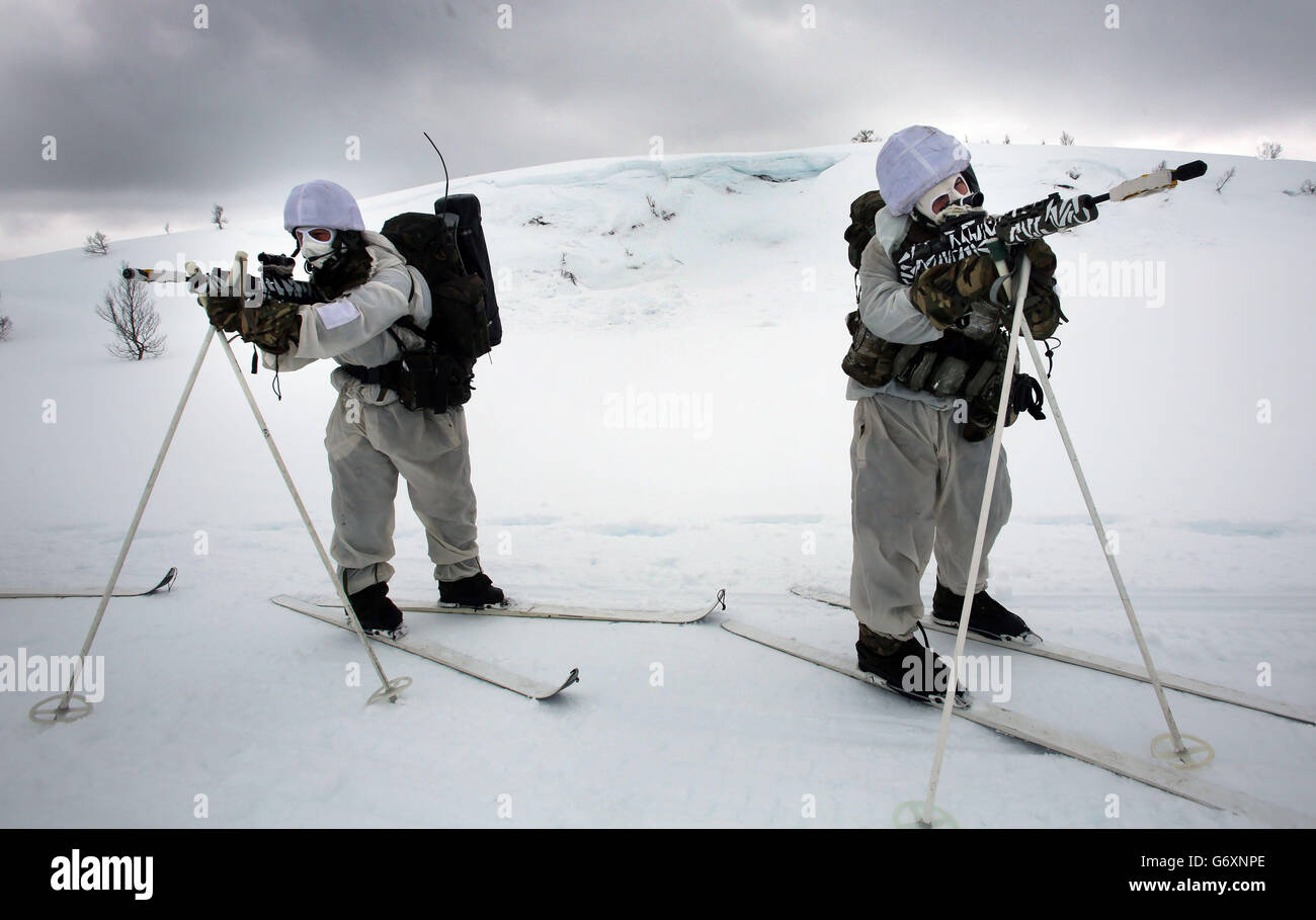 Marines arctic training Stock Photo - Alamy