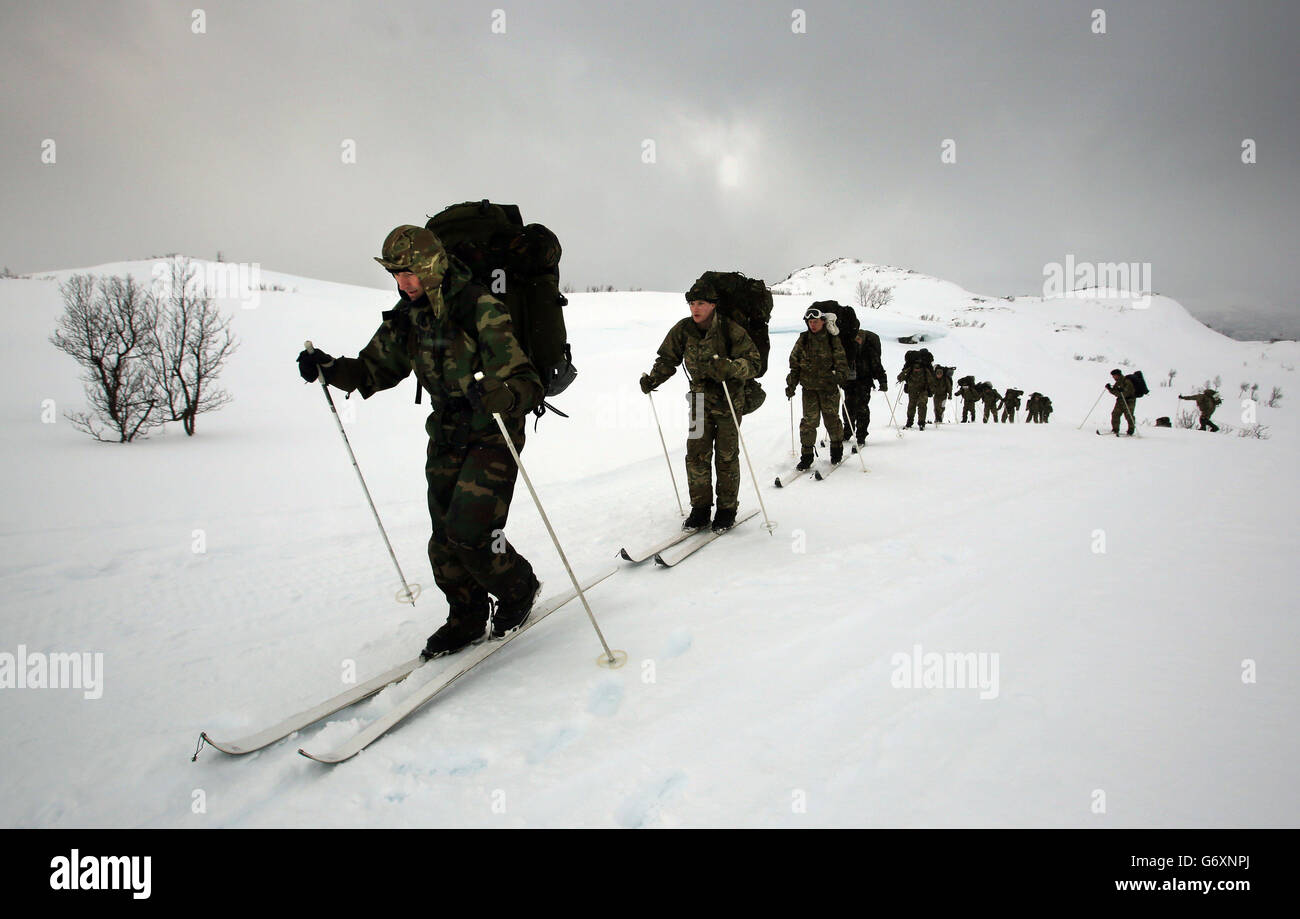 Marines arctic training Stock Photo - Alamy