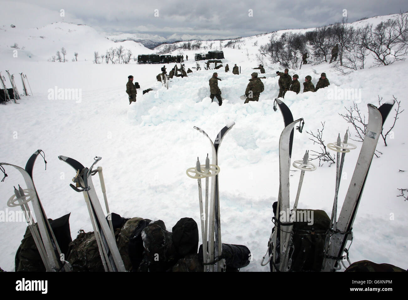 Marines arctic training Stock Photo - Alamy