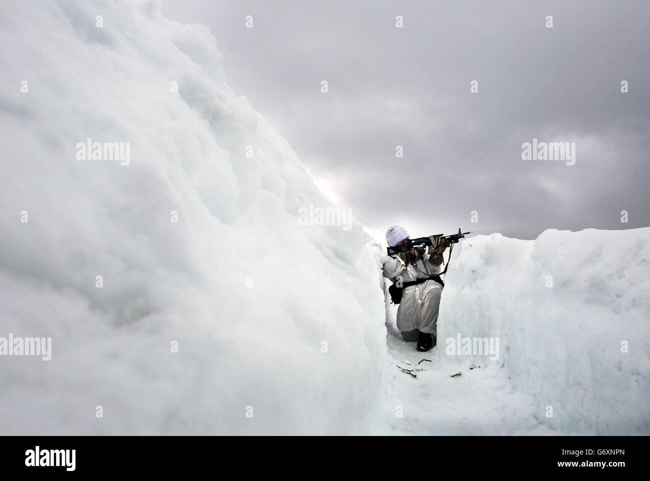 Marines arctic training Stock Photo - Alamy