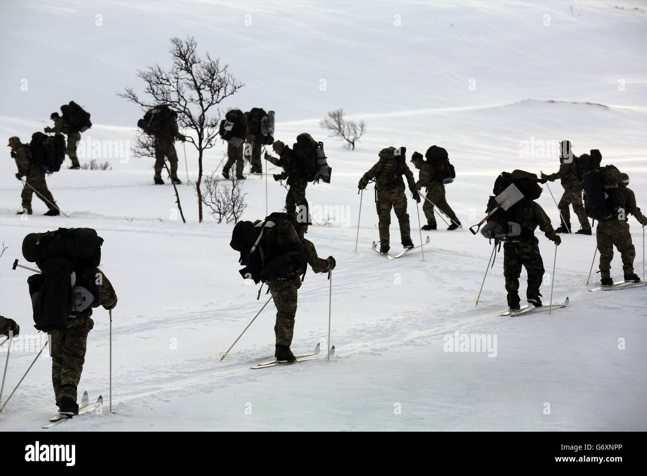 Marines arctic training Stock Photo - Alamy