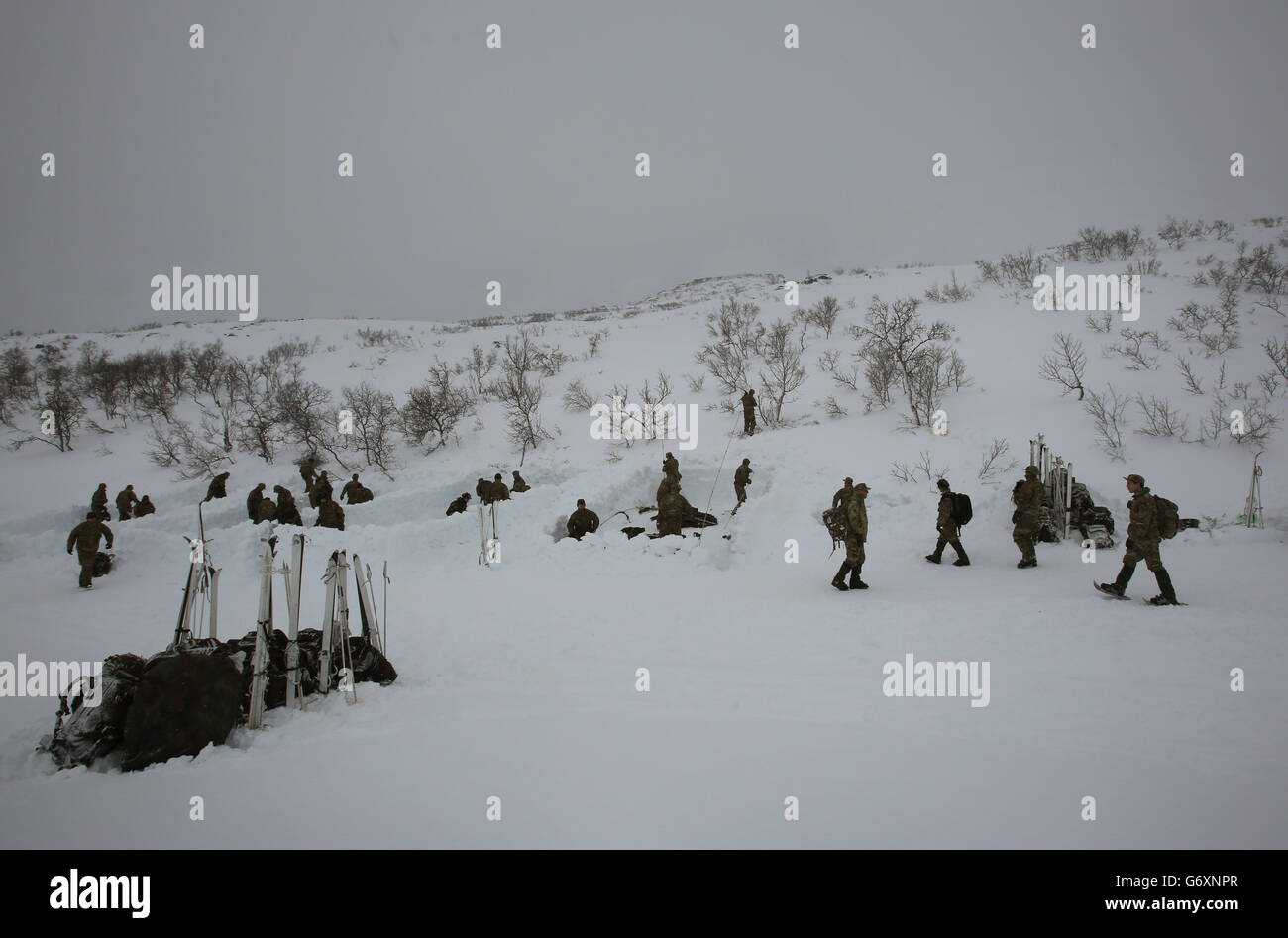 Marines arctic training Stock Photo - Alamy