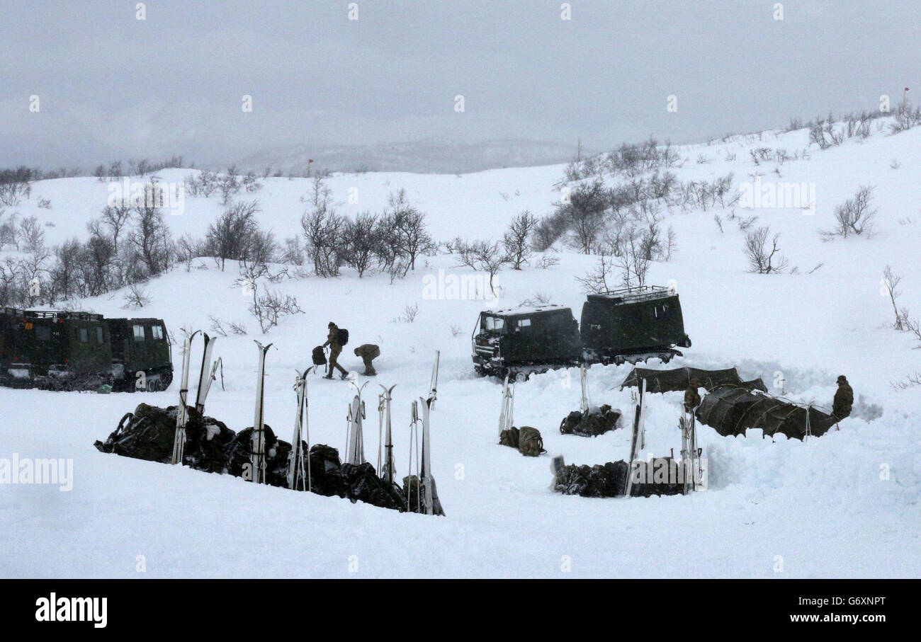 Marines arctic training Stock Photo - Alamy