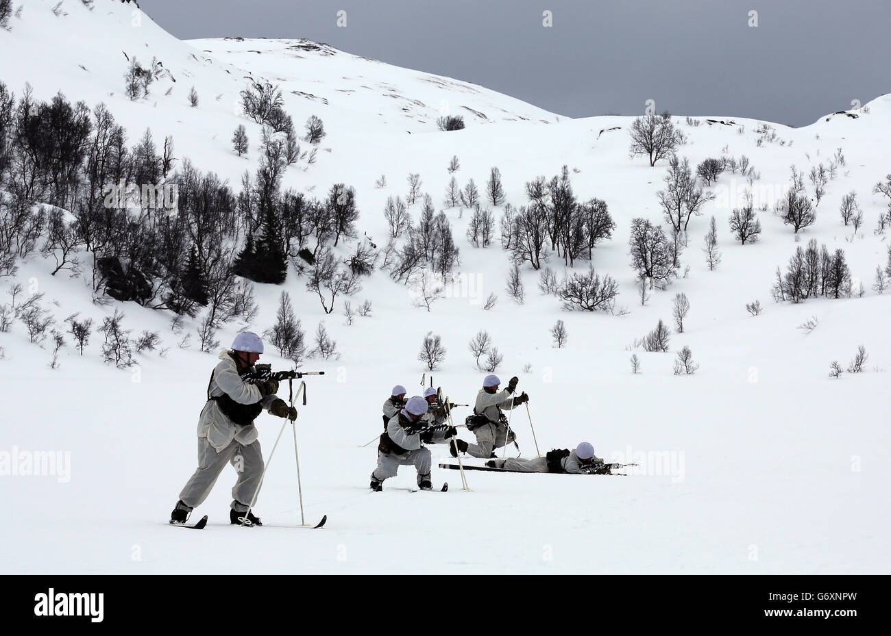 Marines arctic training Stock Photo - Alamy