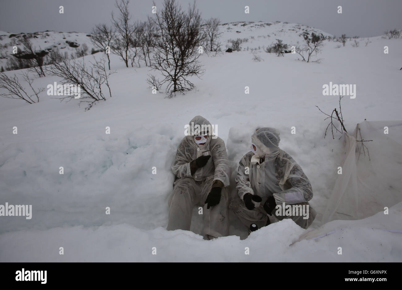 Marines arctic training Stock Photo - Alamy