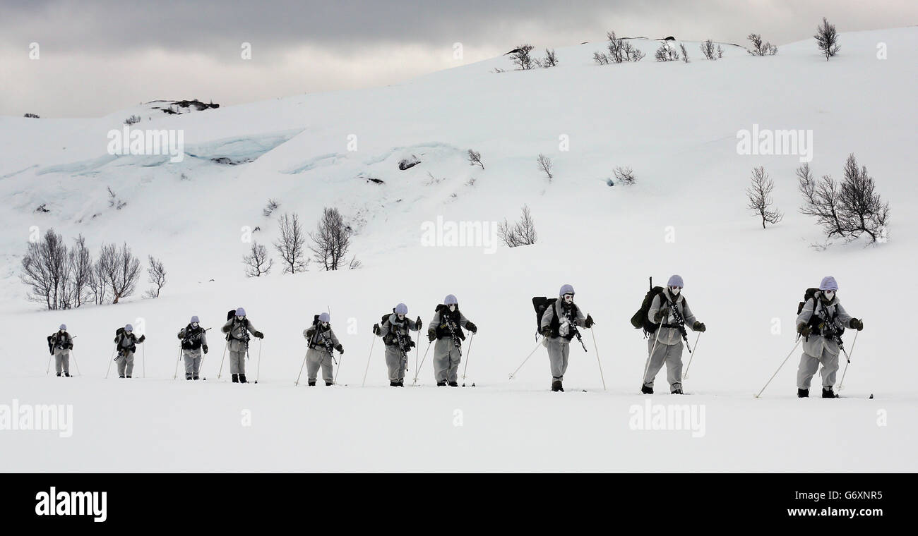 Marines arctic training Stock Photo - Alamy