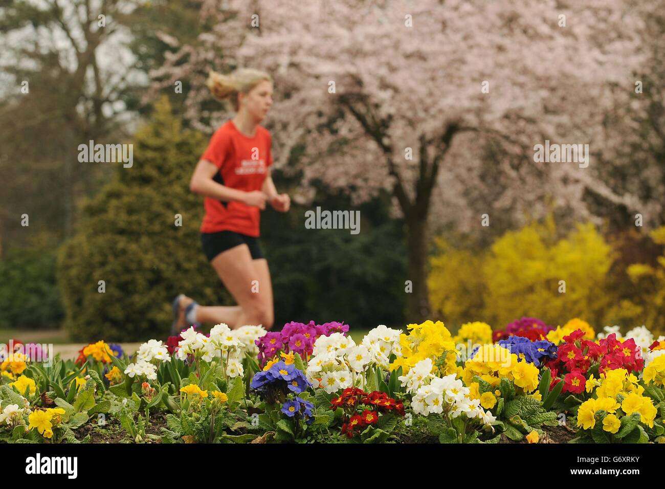 A girl jogs past flowers as signs of spring begin to appear in Cannon ...