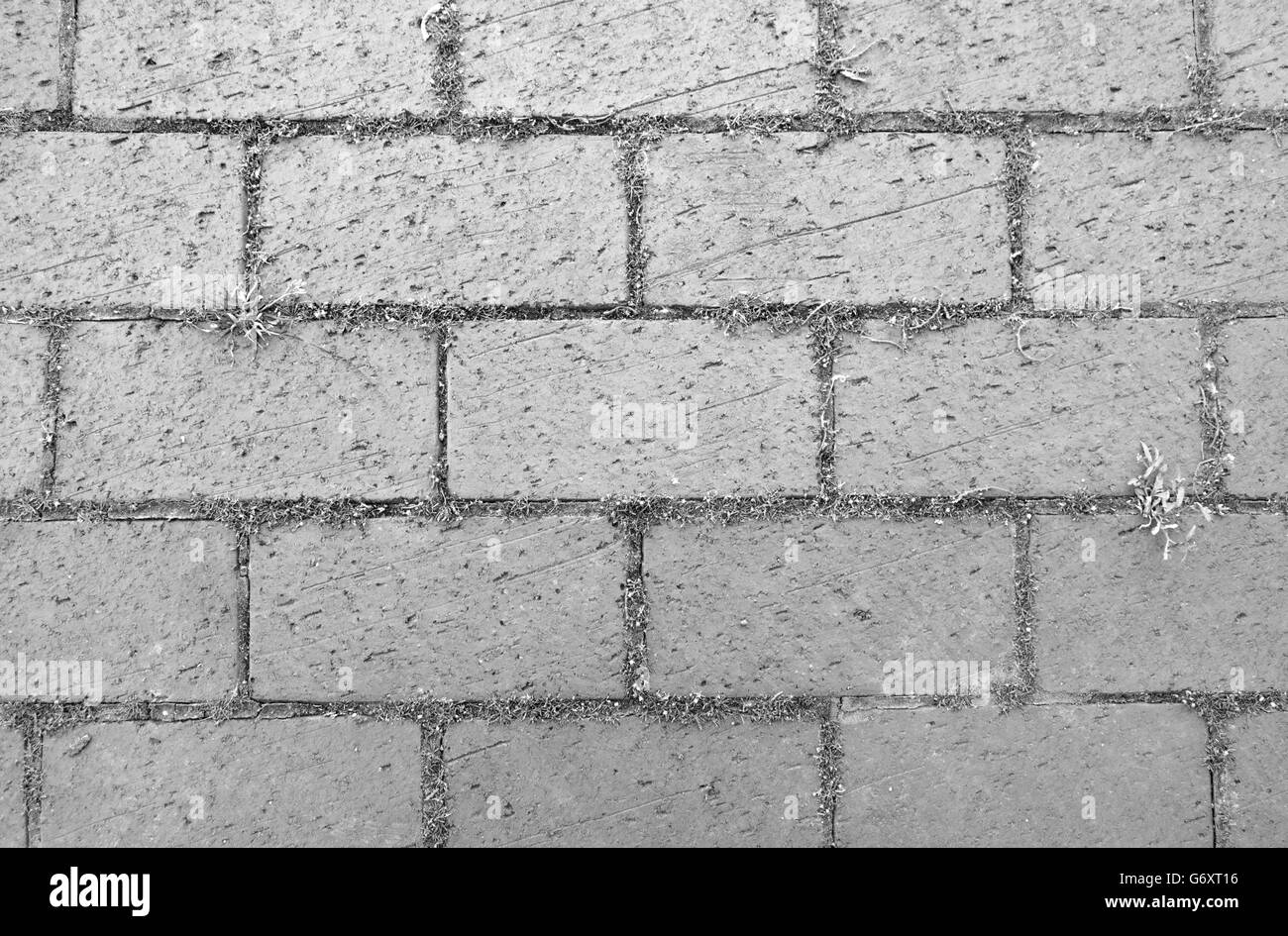 light gray old block wall texture, gray block wall, wall patern, high ...