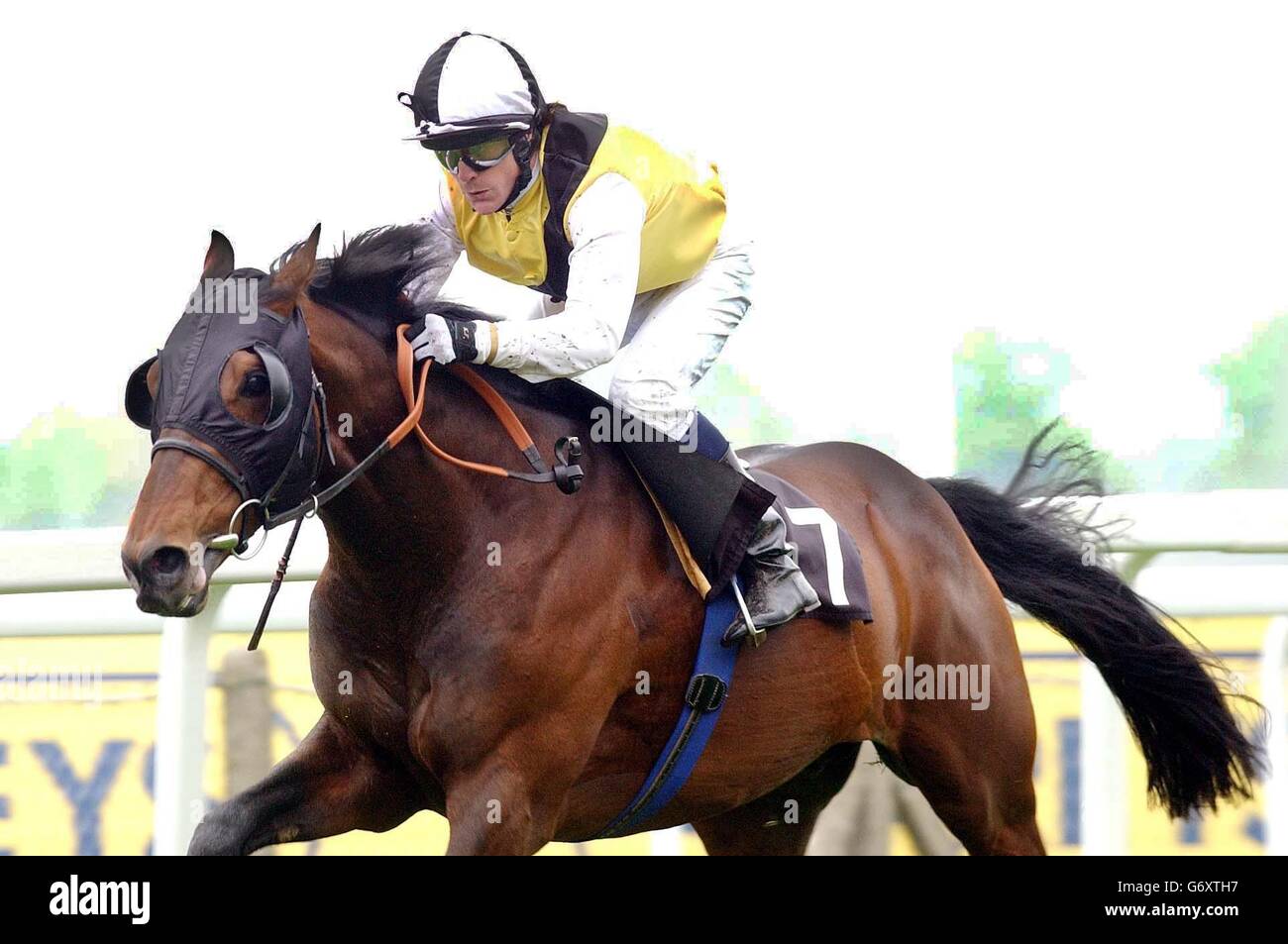 Velcourt Grouo Paradise Stakes Stock Photo - Alamy