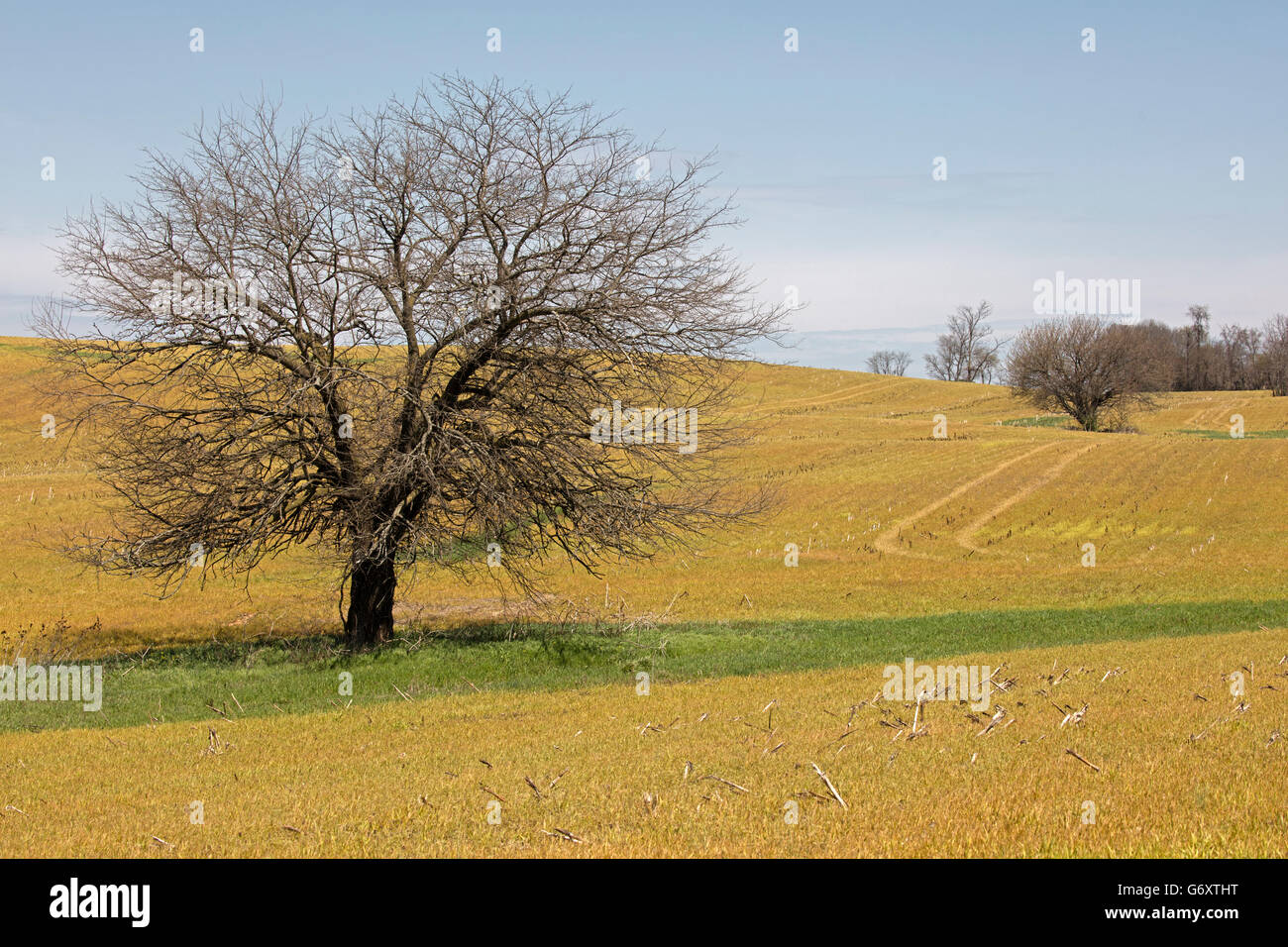 Farm scene, Spring, agricultural preserve, Montgomery county Maryland ...