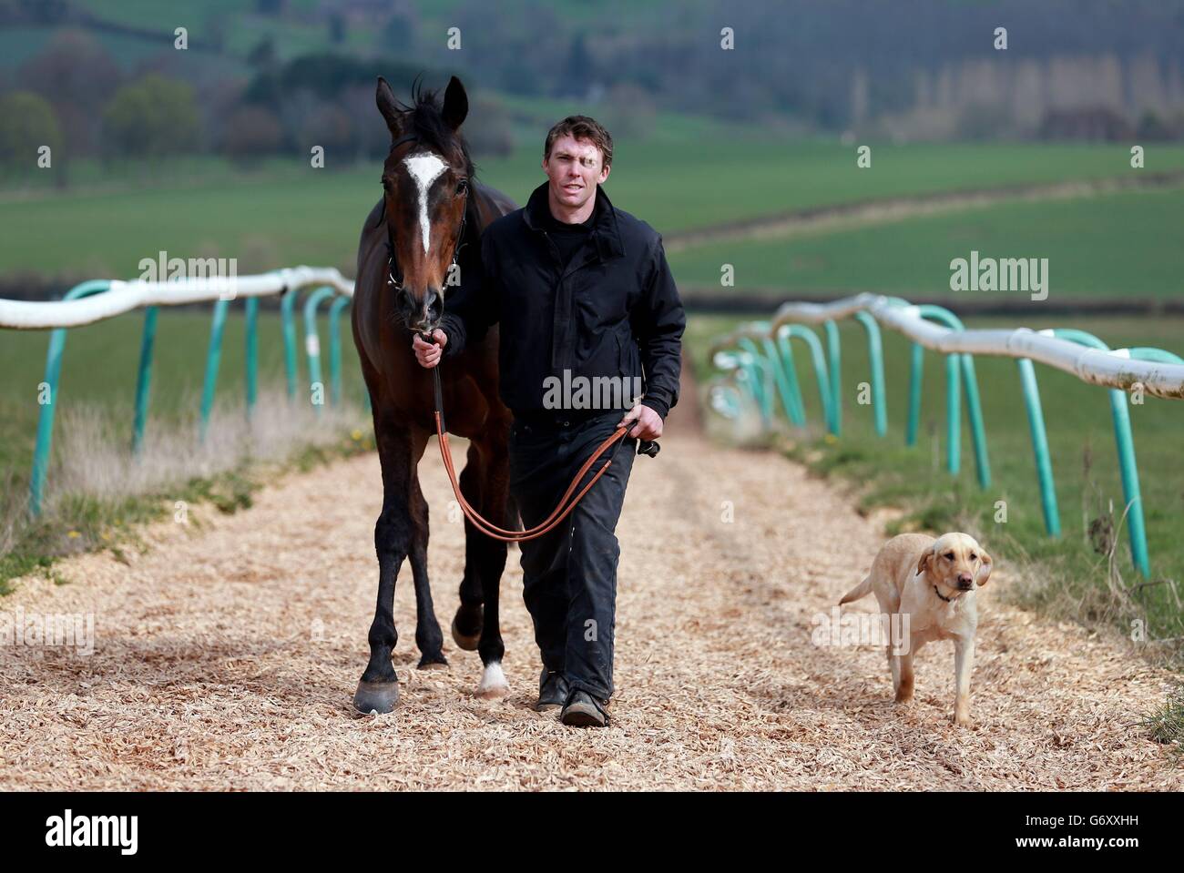Horse Racing - Michael Scudamore Stable Visit - Eccleswall Court ...